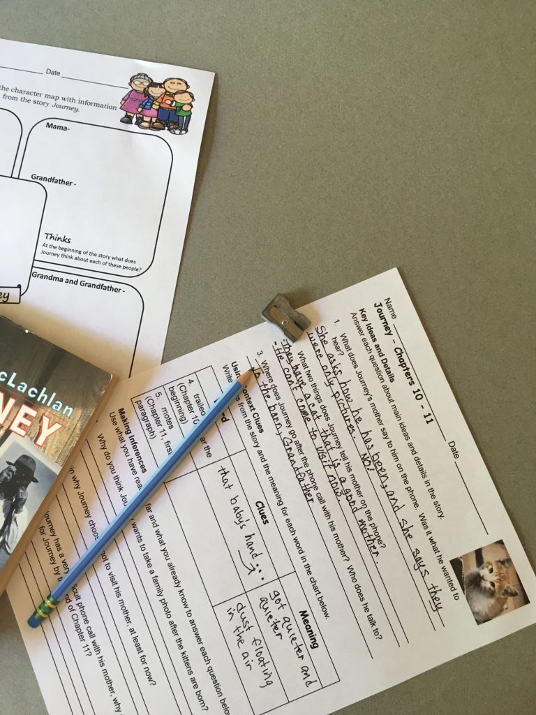 Working with Story Vocabulary from the Novel Journey, Plus a Freebie