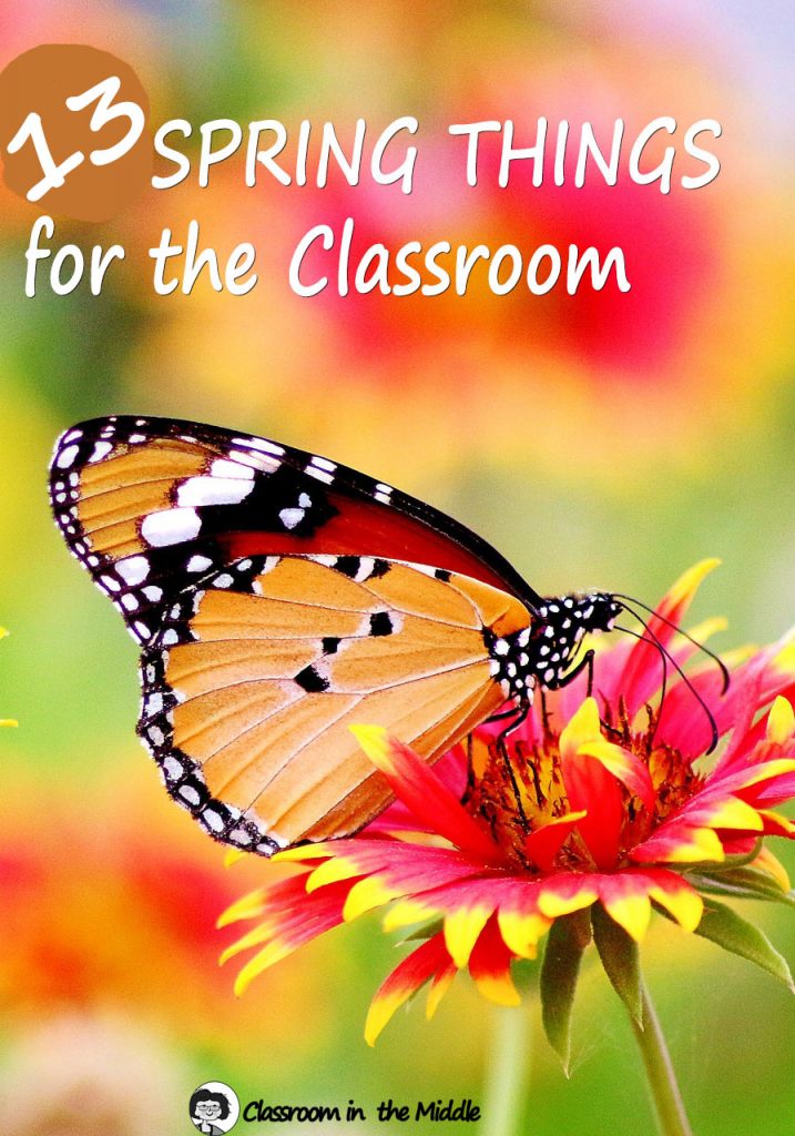 Thirteen Spring Things for the Classroom